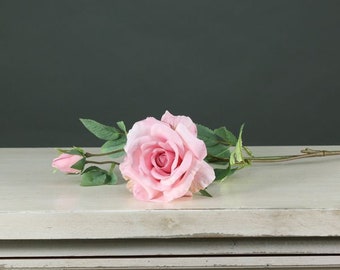 Pink Roses | Etsy UK