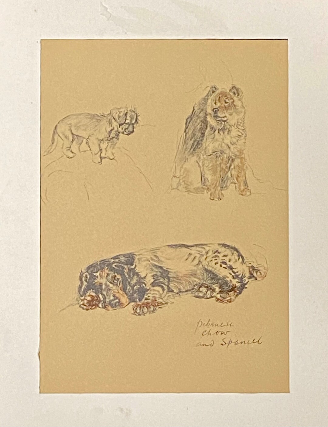 Pekingese - Chow - Spaniel by Cecil Aldin Original Framed Print C.1934 ...