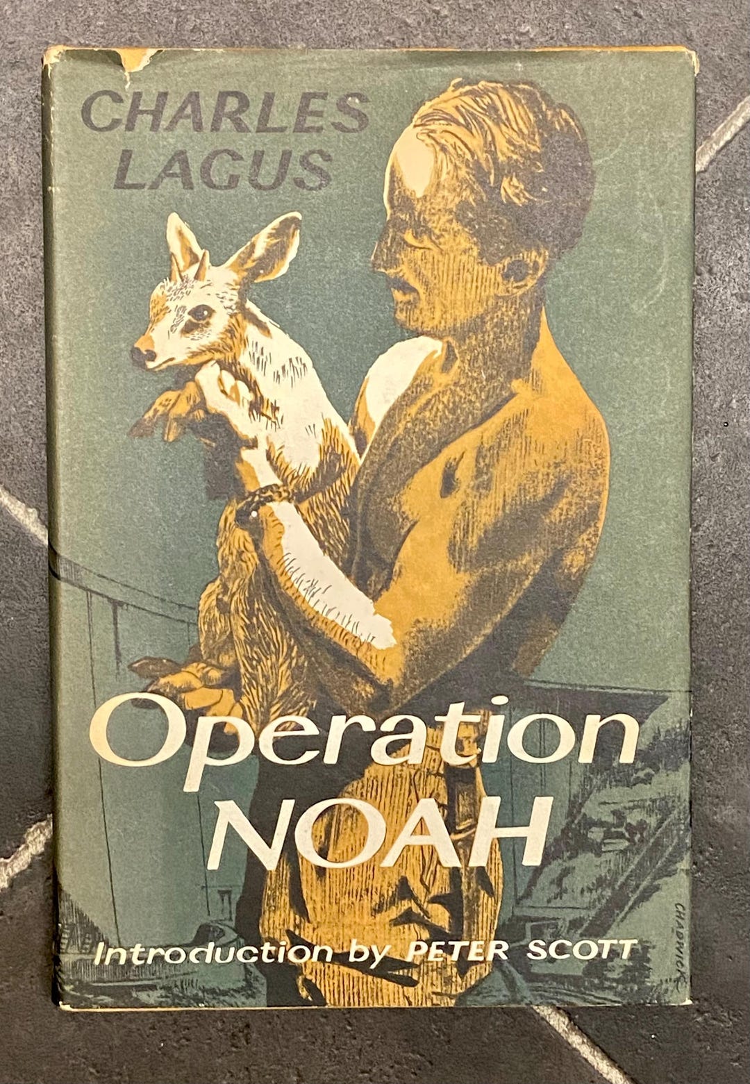 Operation Noah by Charles Lagus. Hardback With Dustcover 1959 Peter ...
