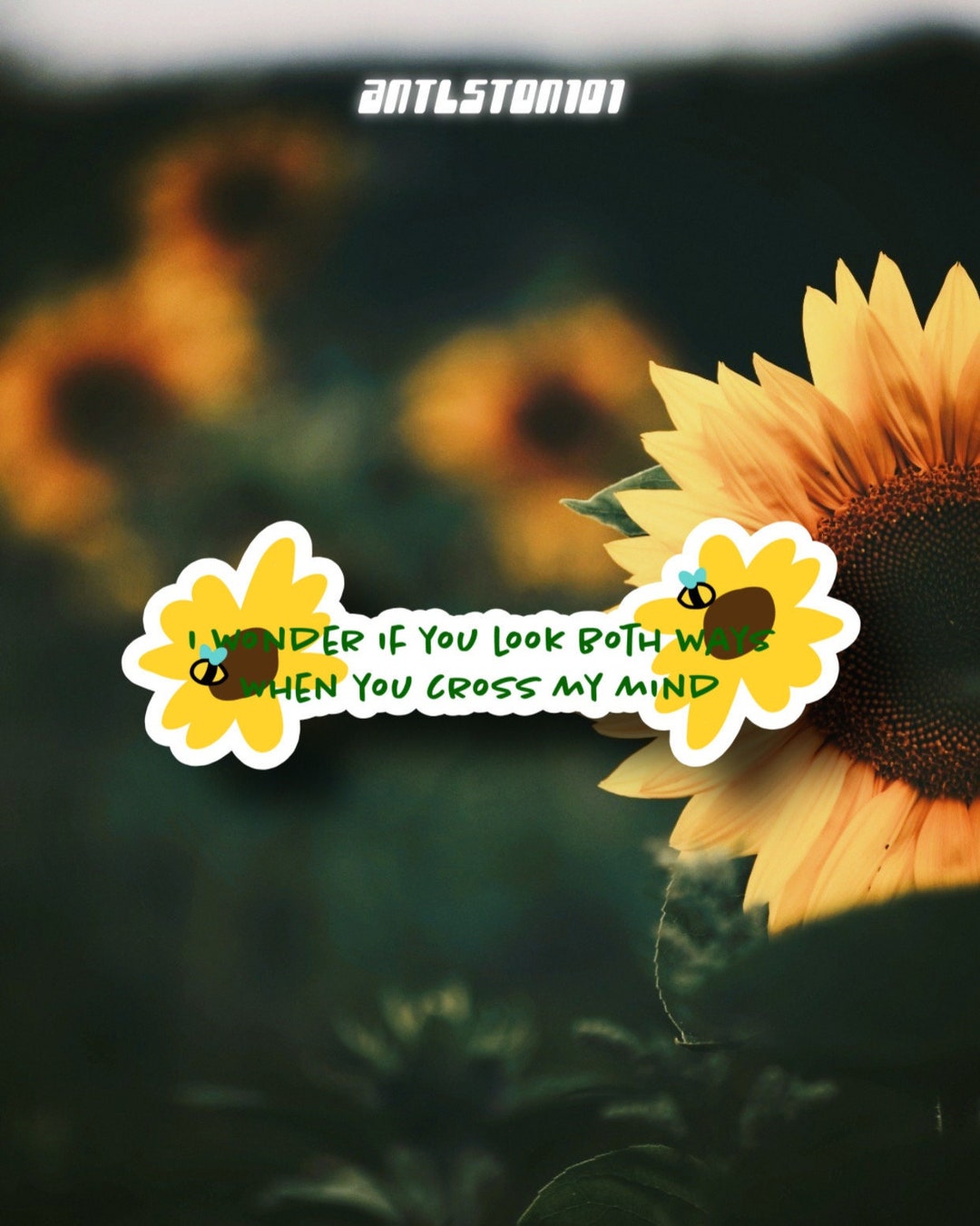 Flower Boy Lyric Sticker for Gift, Hydroflask, Laptops, Skateboards ...