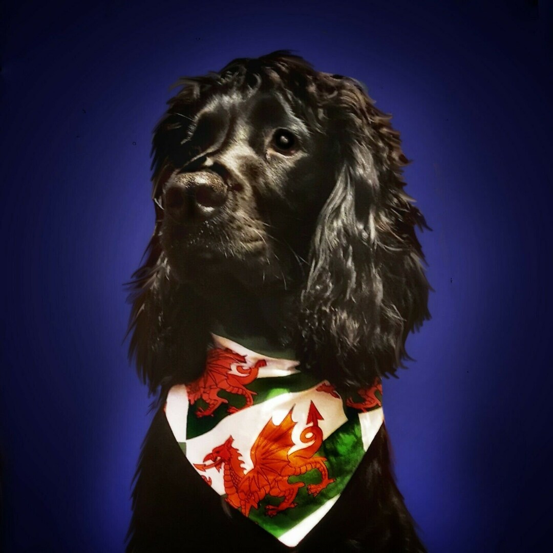 Handmade Welsh Dragon Dog Bandanna: Collar Slide-on - Etsy