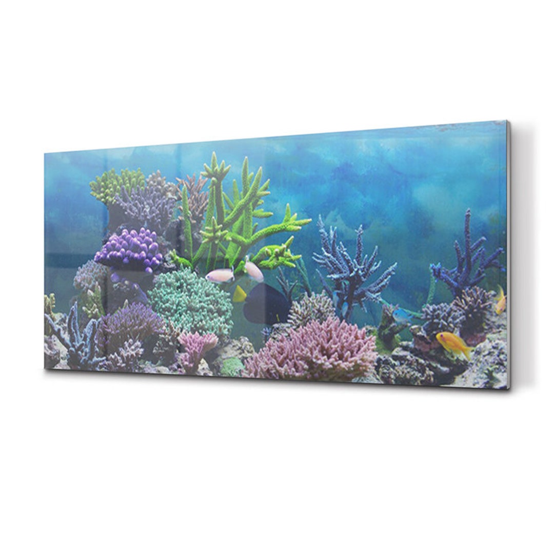 Coral Reef With Fish Glass Splashback, Blue Kitchen Glass Panel, Green ...