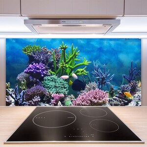 Coral Reef With Fish Glass Splashback, Blue Kitchen Glass Panel, Green ...