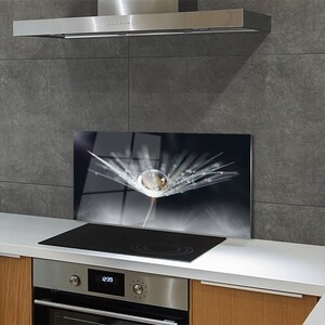 Drop of Water on Dandelion Kitchen Backsplash, White Glass Splashback ...
