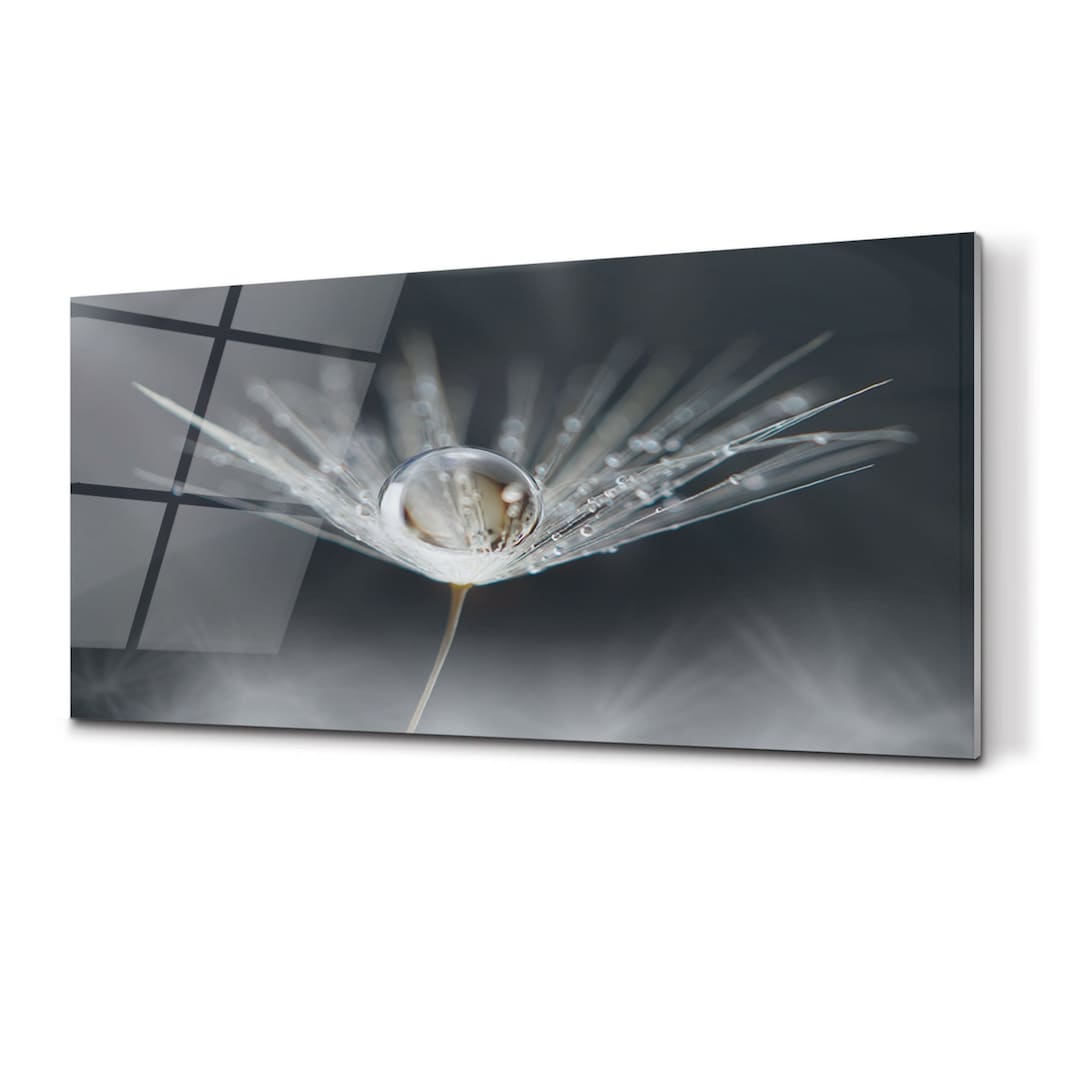 Drop of Water on Dandelion Kitchen Backsplash, White Glass Splashback ...