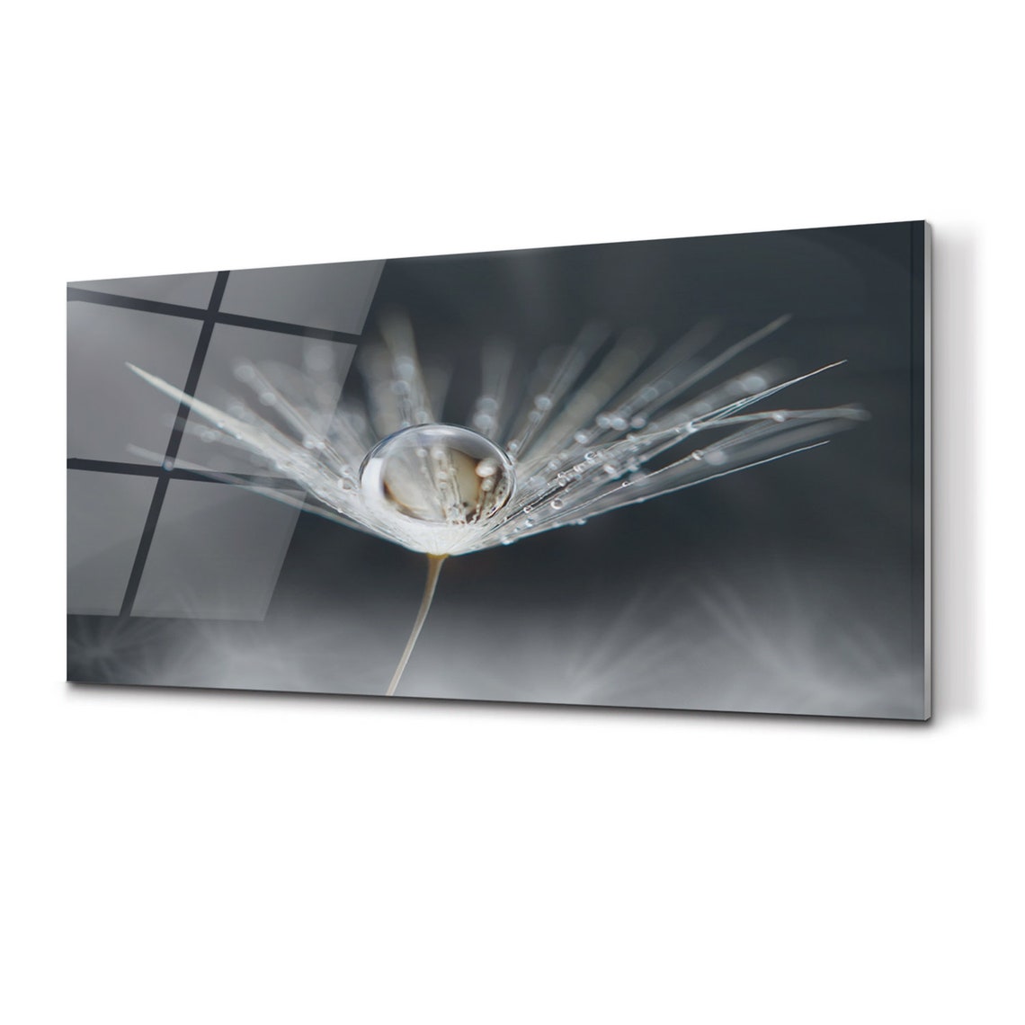 Drop of Water on Dandelion Kitchen Backsplash, White Glass Splashback ...