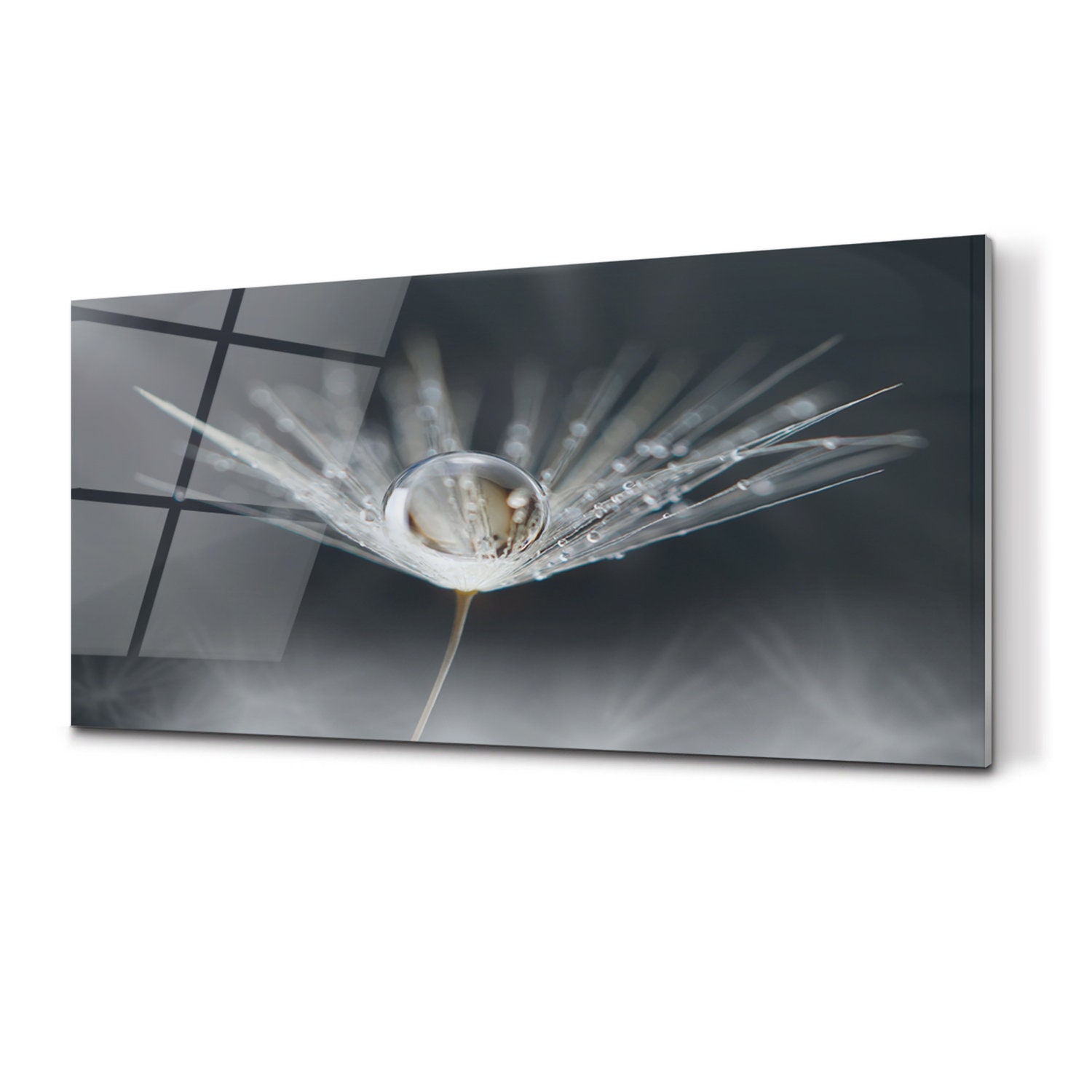 Drop of Water on Dandelion Kitchen Backsplash, White Glass Splashback ...