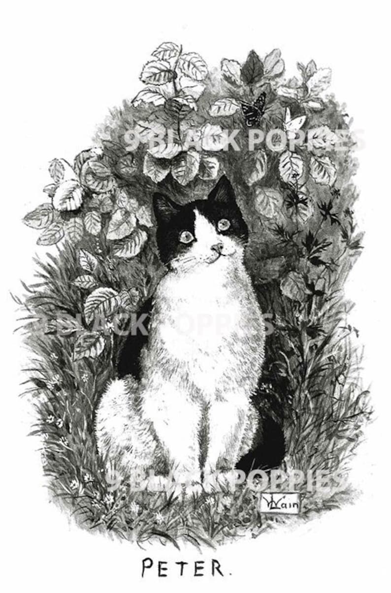 Louis Wain Print Cat Wall Art Decor Peter the Great Louis Wain | Etsy UK