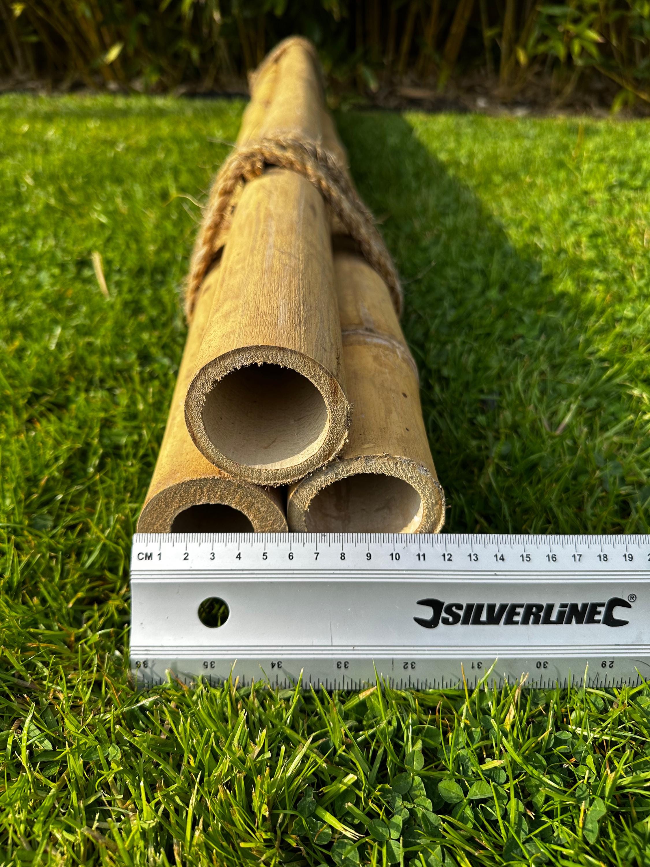 Apus Natural Bamboo Pole 4-6cm Diameter Long Lengths - 2m - 3m ...
