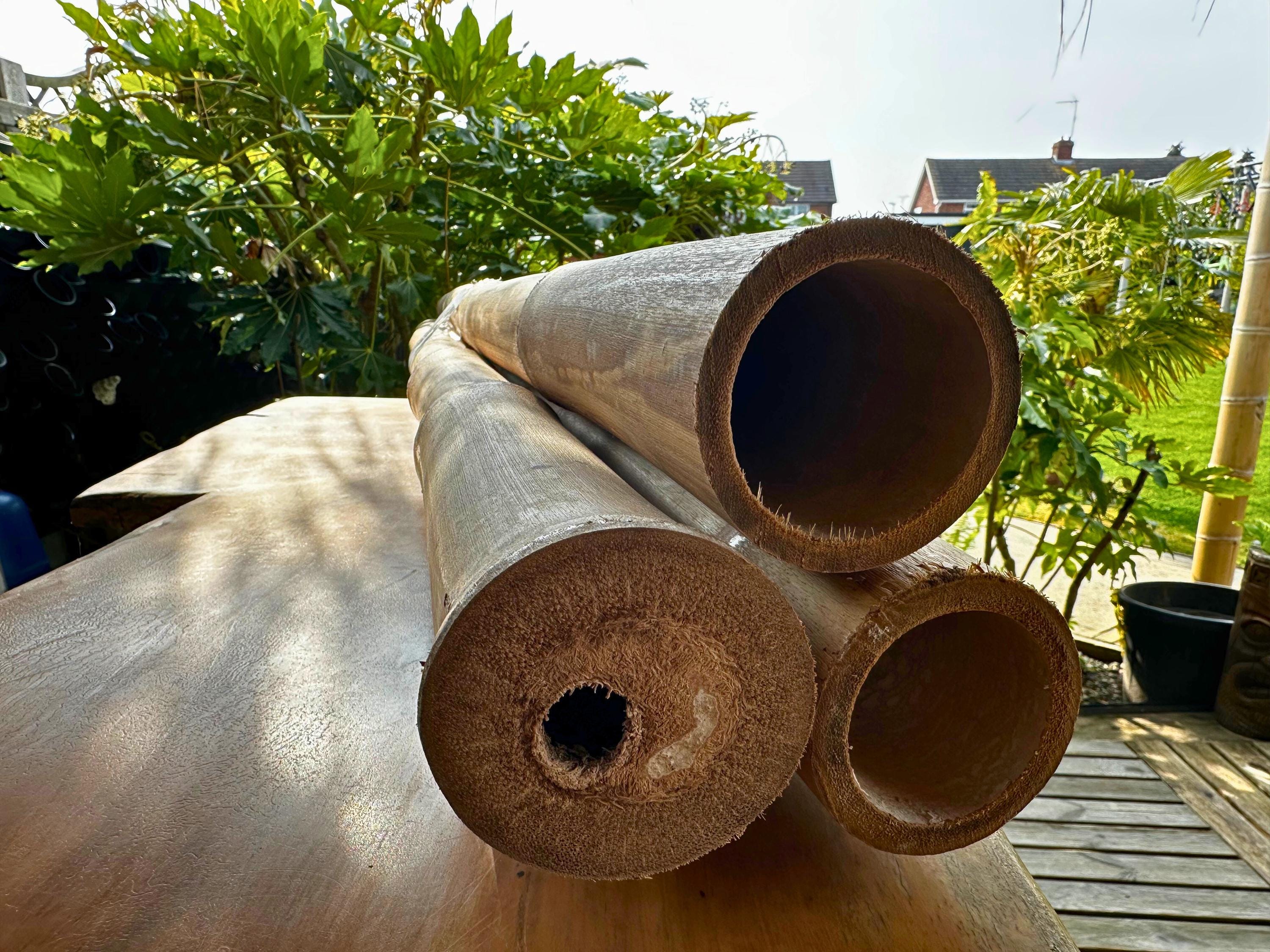 Apus Natural Bamboo Pole 4-6cm Diameter Long Lengths - 2m - 3m ...