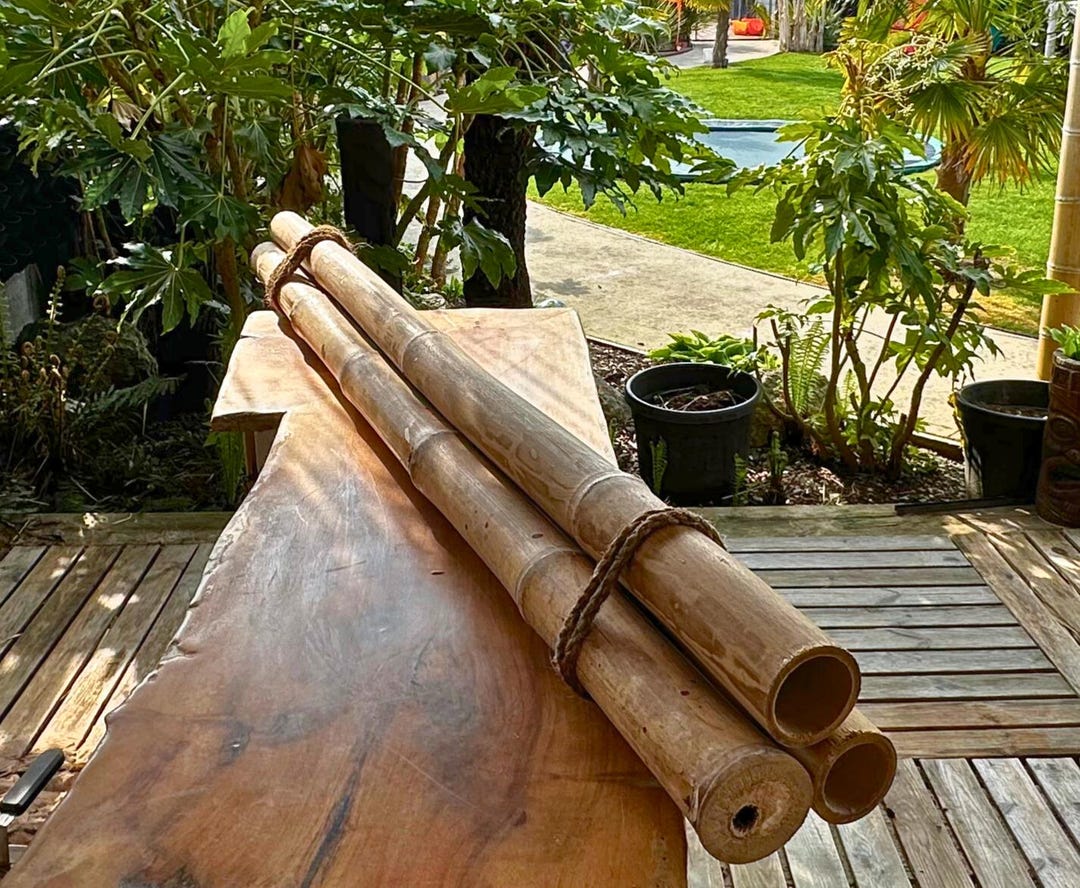 Apus Natural Bamboo Pole 4-6cm Diameter Long Lengths - 2m - 3m ...