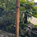 Apus Natural Bamboo Pole 4-6cm Diameter Long Lengths - 2m - 3m ...
