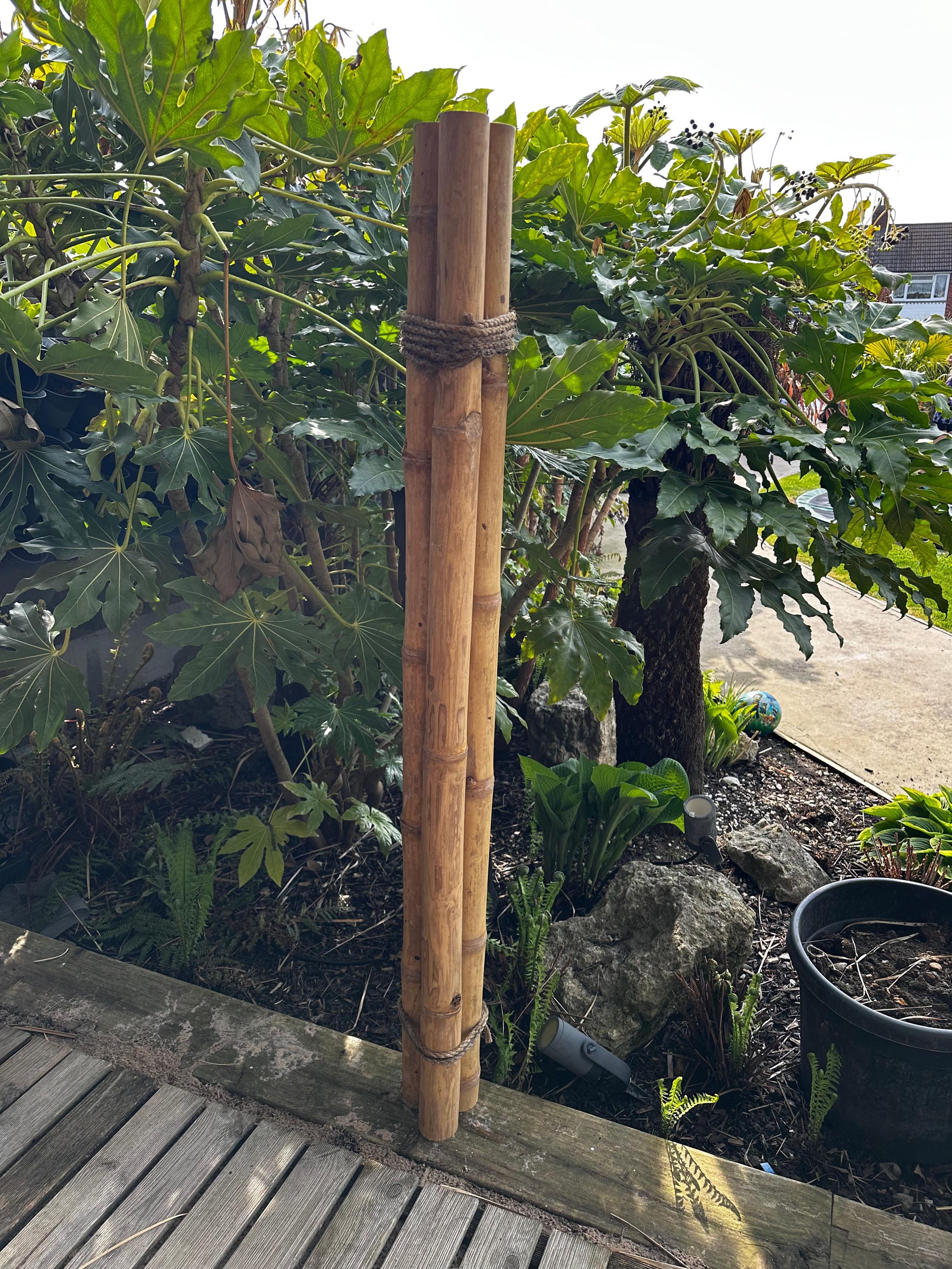 Apus Natural Bamboo Pole 4-6cm Diameter Long Lengths - 2m - 3m ...