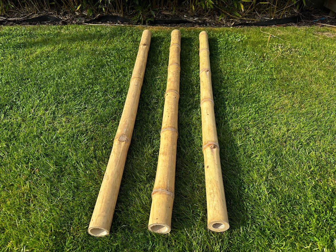 Apus Natural Bamboo Pole 4-6cm Diameter Long Lengths - 2m - 3m ...