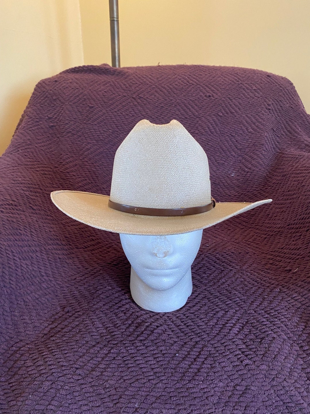 Vintage Super Cool (pun Intended) Bailey Urollit 6X Palomino Shantung ...