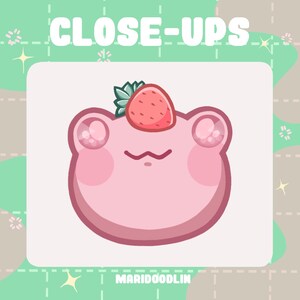 Cute Frog Subscriber Badges Twitch and Discord Emotes Instant Download ...