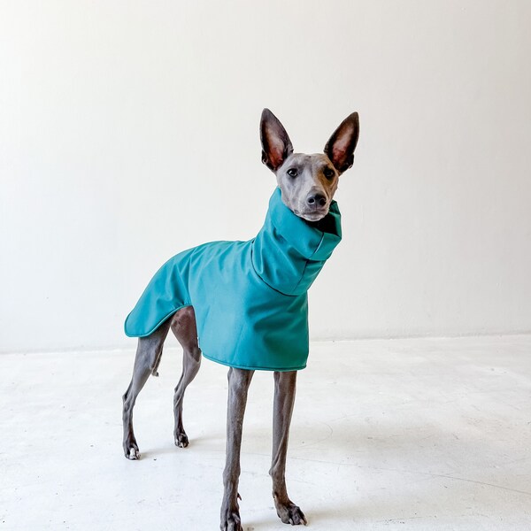 Whippet Clothing - Etsy