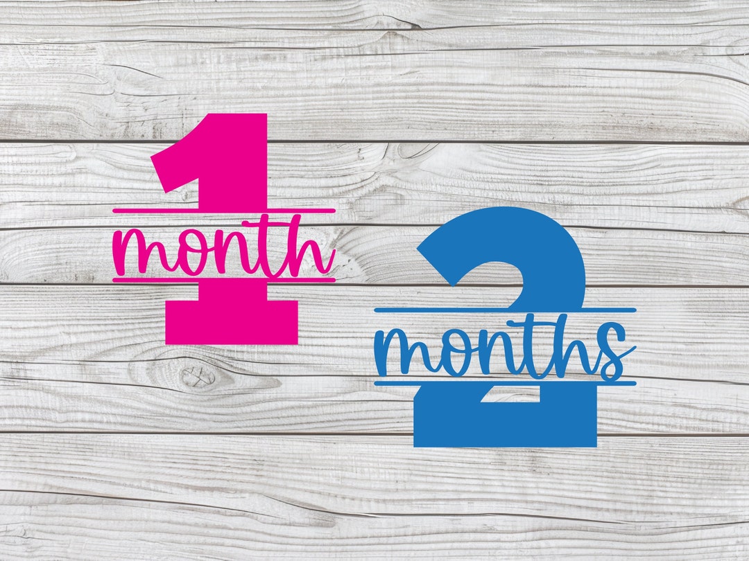 Milestone SVG, Baby and Pregnancy Month Milestone Cut Files, Split ...