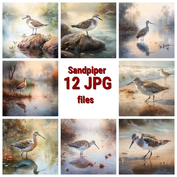 Sandpiper - Etsy
