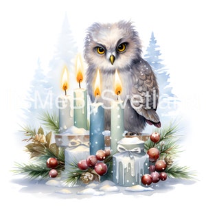 Christmas Baby Owl Watercolor Clipart, Cute Owl 14 Jpgs, Christmas ...