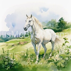 White Horse Watercolor Clipart, Horse in a Field Watercolor Painting ...
