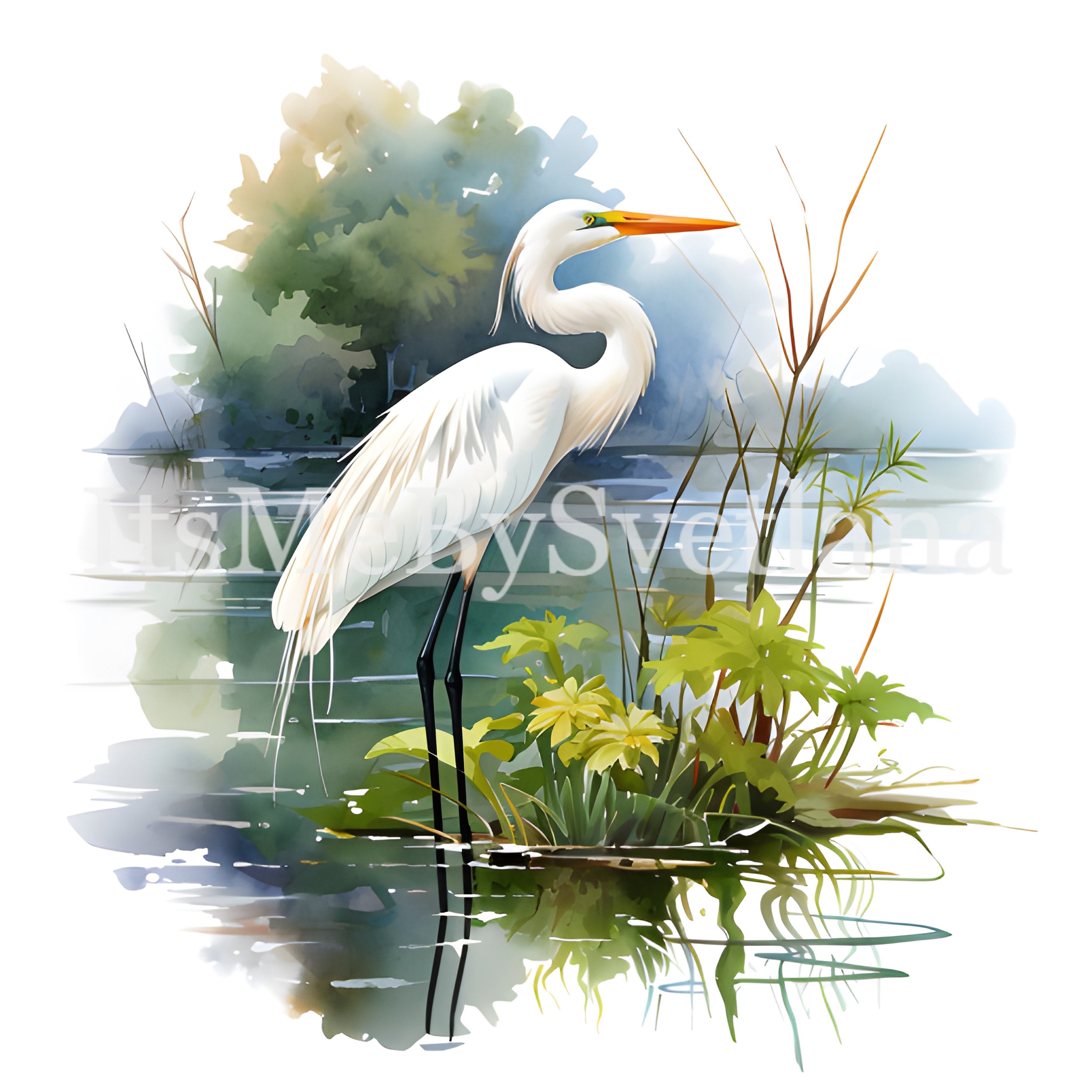 Great Egret Watercolor Clipart Egret Watercolor Painting - Etsy