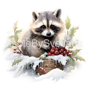 Christmas Baby Raccoon Clipart, 24 JPG Watercolor Files, Digital ...
