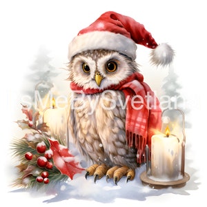 Christmas Baby Owl Watercolor Clipart, Cute Owl 14 Jpgs, Christmas ...