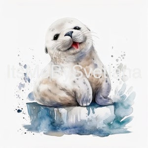 Cute Baby Seal Clipart, 10 JPG Baby Seal Watercolor Files, Digital ...