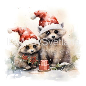 Christmas Baby Raccoon Clipart, 24 JPG Watercolor Files, Digital ...