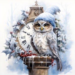 Christmas Baby Owl Watercolor Clipart, Cute Owl 14 Jpgs, Christmas ...