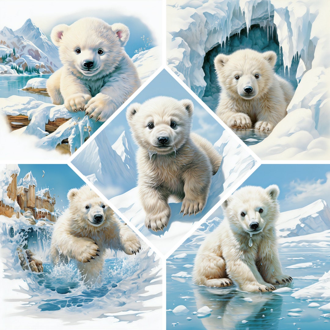 Baby Polar Bear Watrrcolor Clipart, High Quality 15 Jpgs Files, Instant Digital Download ...