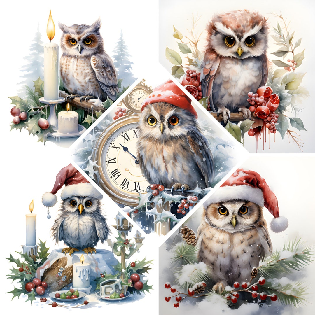 Christmas Baby Owl Watercolor Clipart, Cute Owl 14 Jpgs, Christmas ...