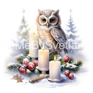 Christmas Baby Owl Watercolor Clipart, Cute Owl 14 Jpgs, Christmas ...