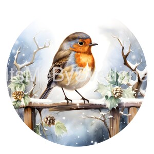 Christmas Robin Watercolor Clipart, Colorful Bird Robin Print,book ...