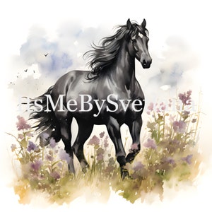 Black Horse Watercolor Clipart, Horse in a Field Watercolor Painting ...