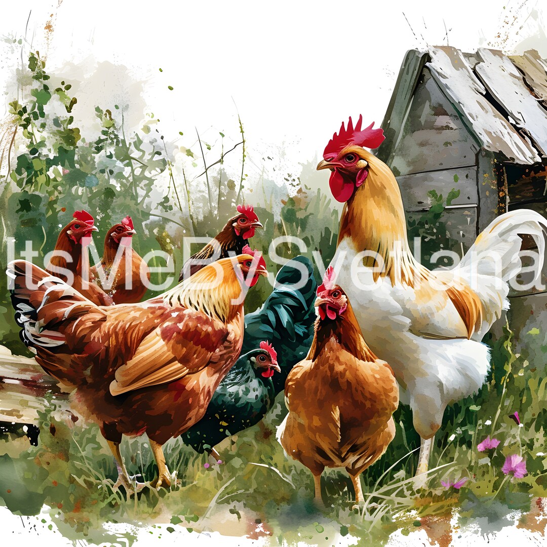 Chickens Watercolour Clipart, Printable Farm Animals, Card Making, Book ...