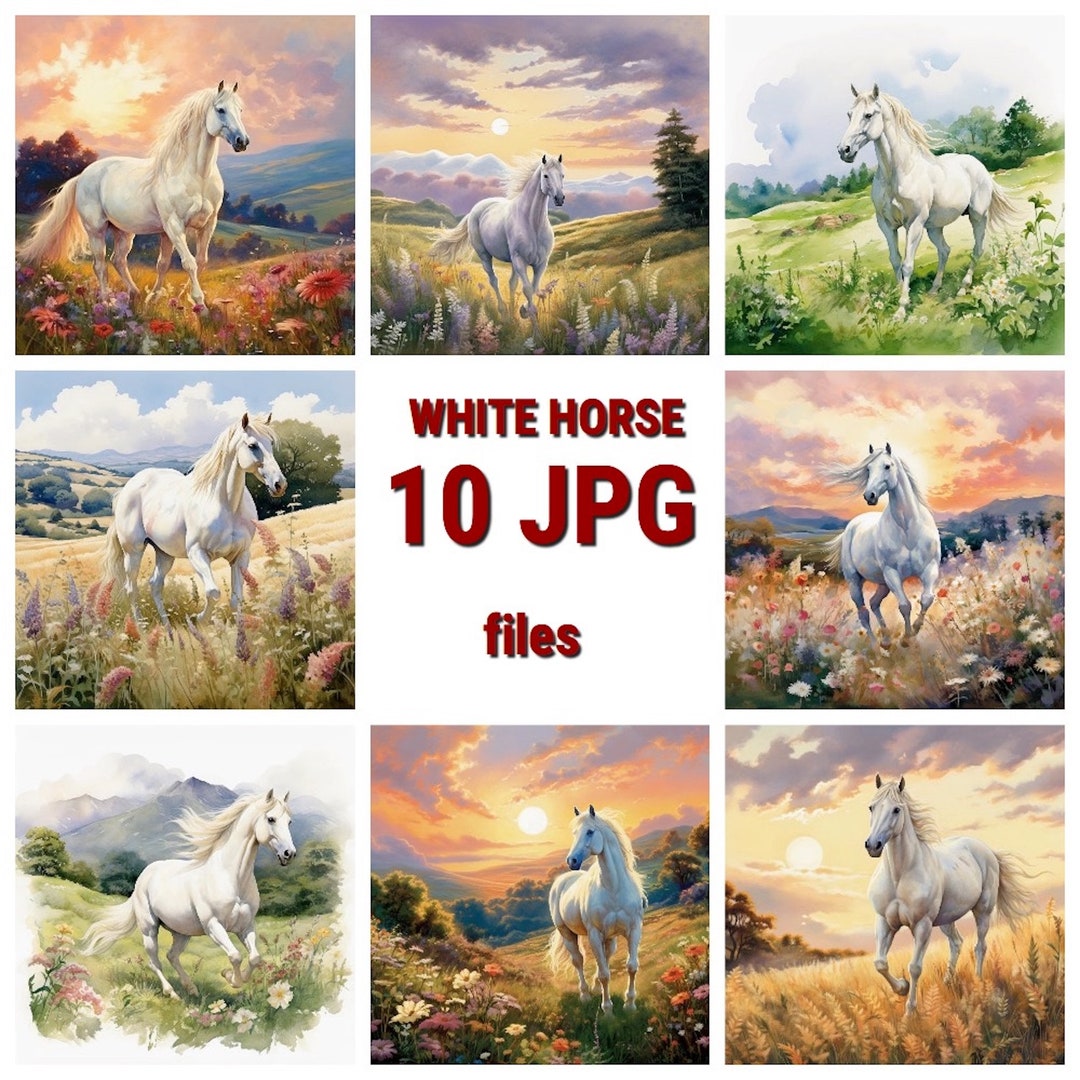 White Horse Watercolor Clipart, Horse in a Field Watercolor Painting ...