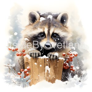 Christmas Baby Raccoon Clipart, 24 JPG Watercolor Files, Digital ...