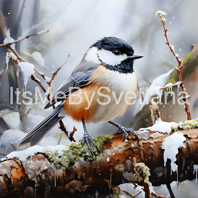 Winter Chickadee - Etsy