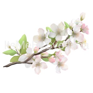Apple Tree Flowers Clipart, 12 JPG Watercolor Files, Apple Blossom ...