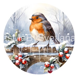 Christmas Robin Watercolor Clipart, Colorful Bird Robin Print,book ...