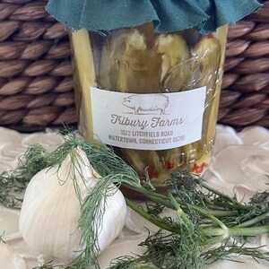 Pickle Sampler 5 Pack - Etsy