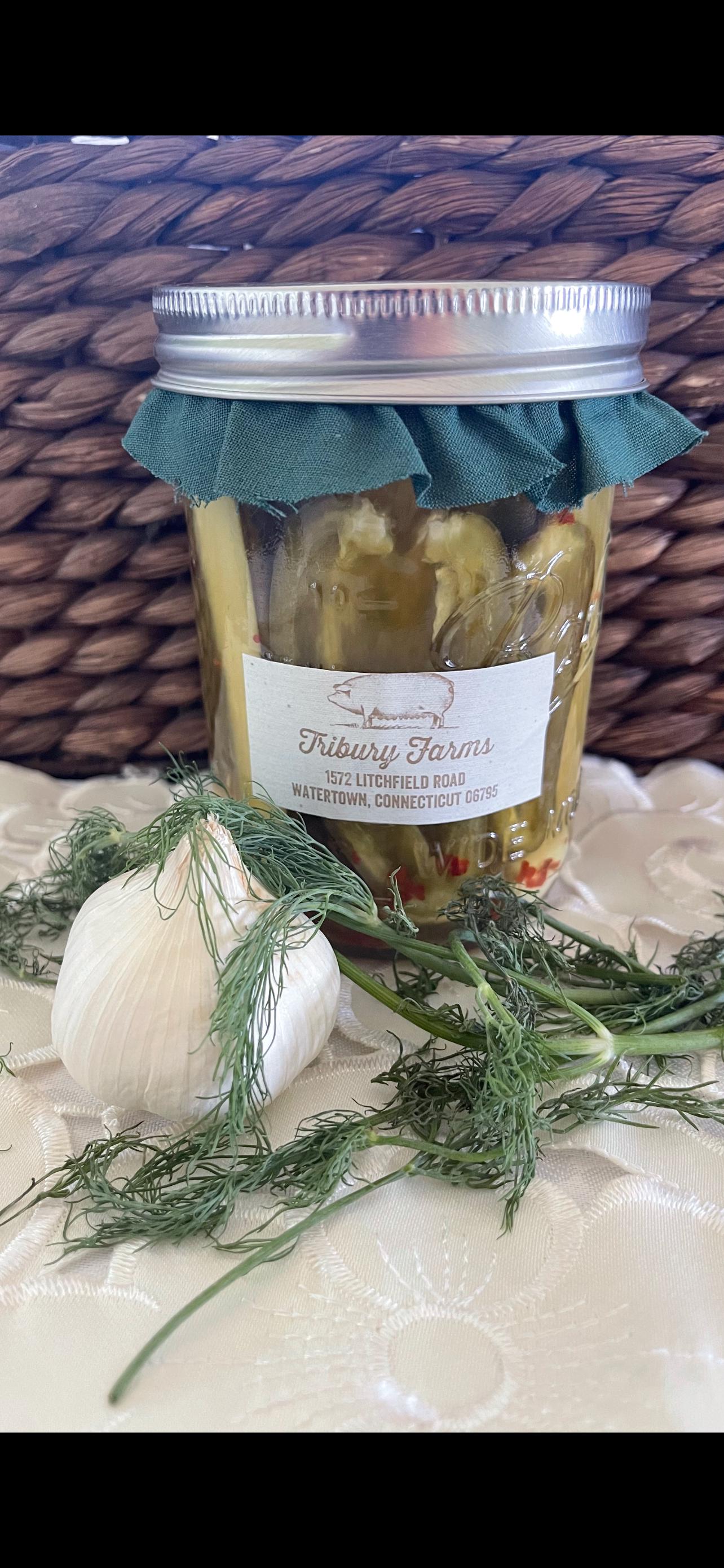 Pickle Sampler 5 Pack - Etsy