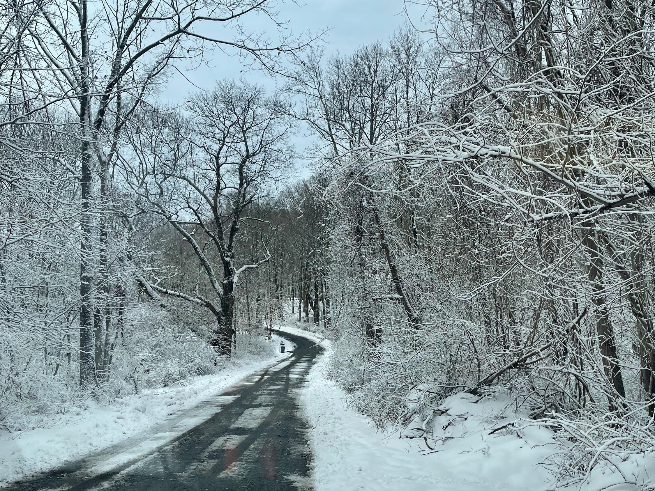 Pickle Sampler Pack - Etsy