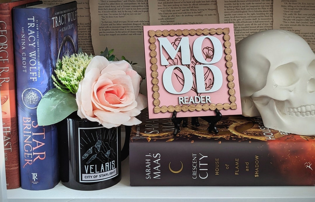Mood Reader Bookshelf Sign Custom Bookshelf Home Decor - Etsy