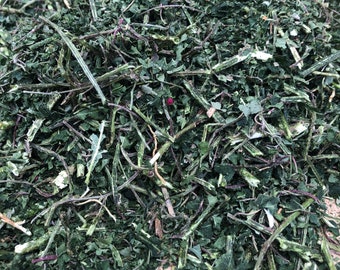 Jamaican Dog Blood Herb | Etsy