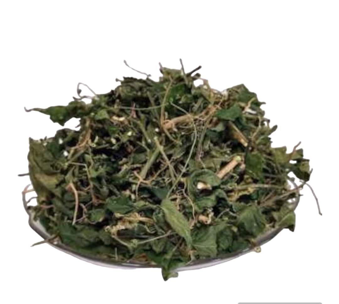 Jamaican Dog Blood Herb Loose Leaf Tea | Rivina Humilis Wildcrafted ...