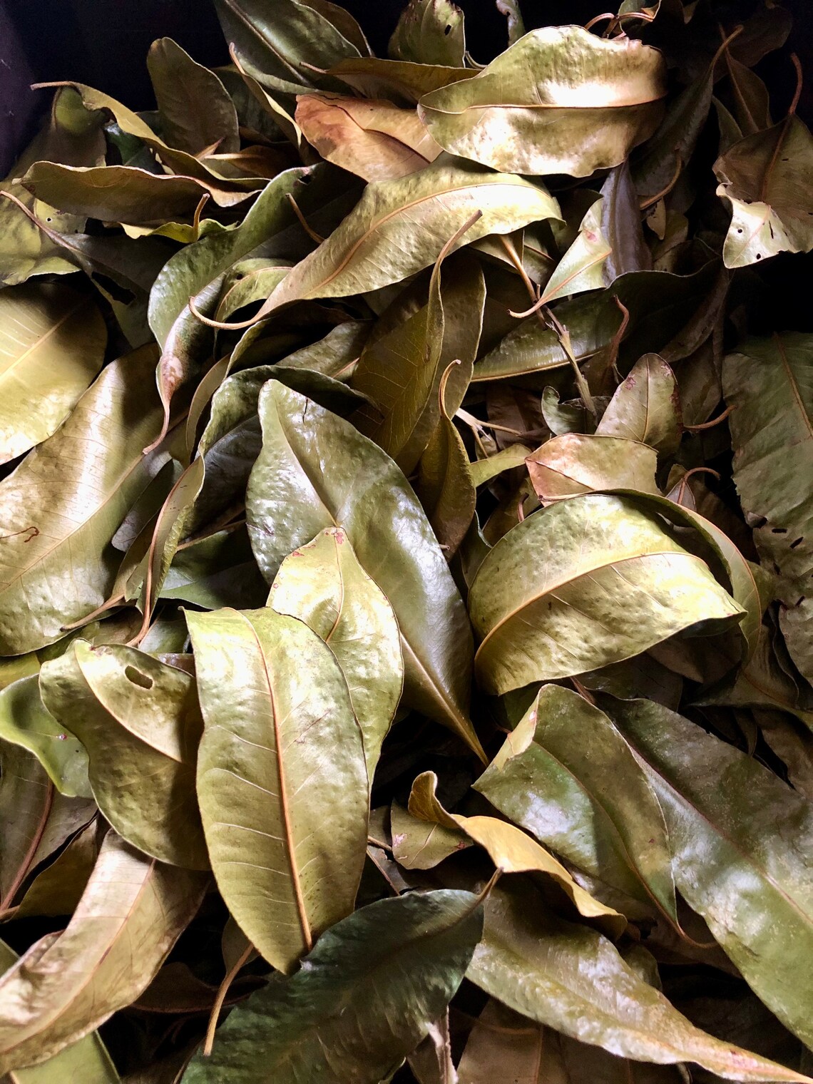 Jamaican Allspice Leaves, Authentic Jerk Seasoning, Smoked Meat Rub - Etsy