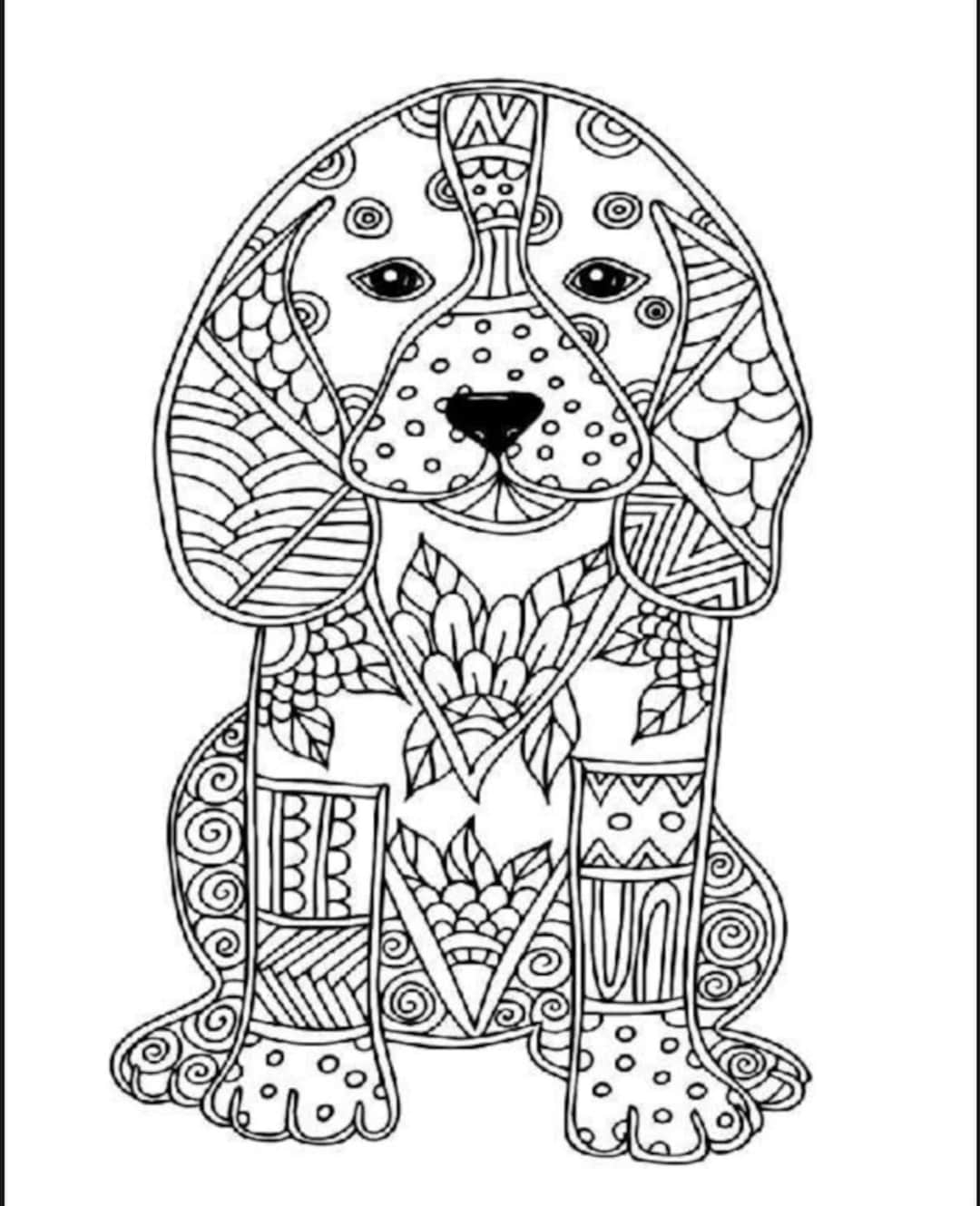 40 Animal Mandala Colouring Book Pages, Digital Download, Children's ...